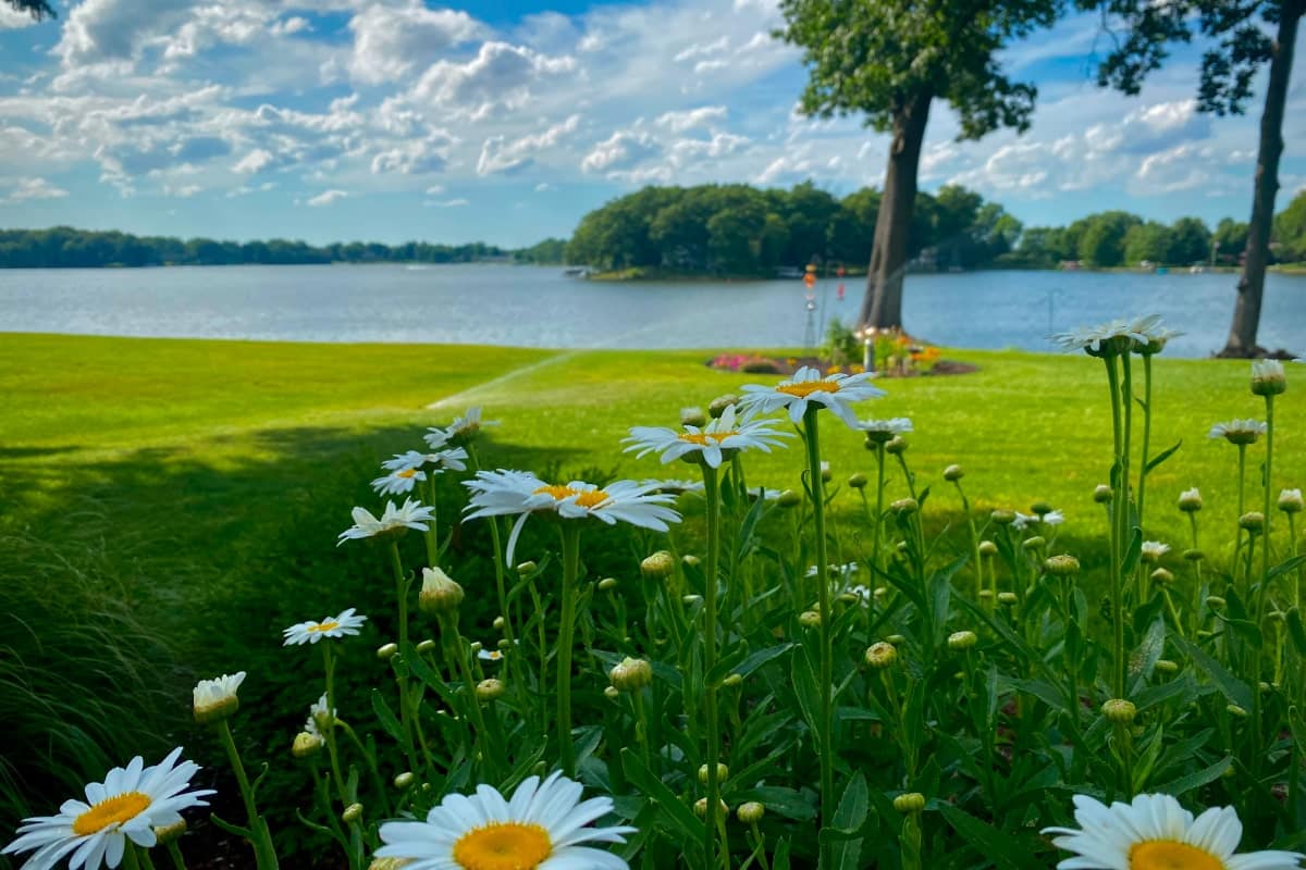 News / Announcements | Lake Templene